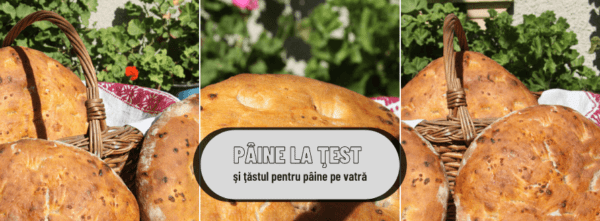 Pâine la ţest şi ţăstul pentru pâine pe vatră - PlatFerma
