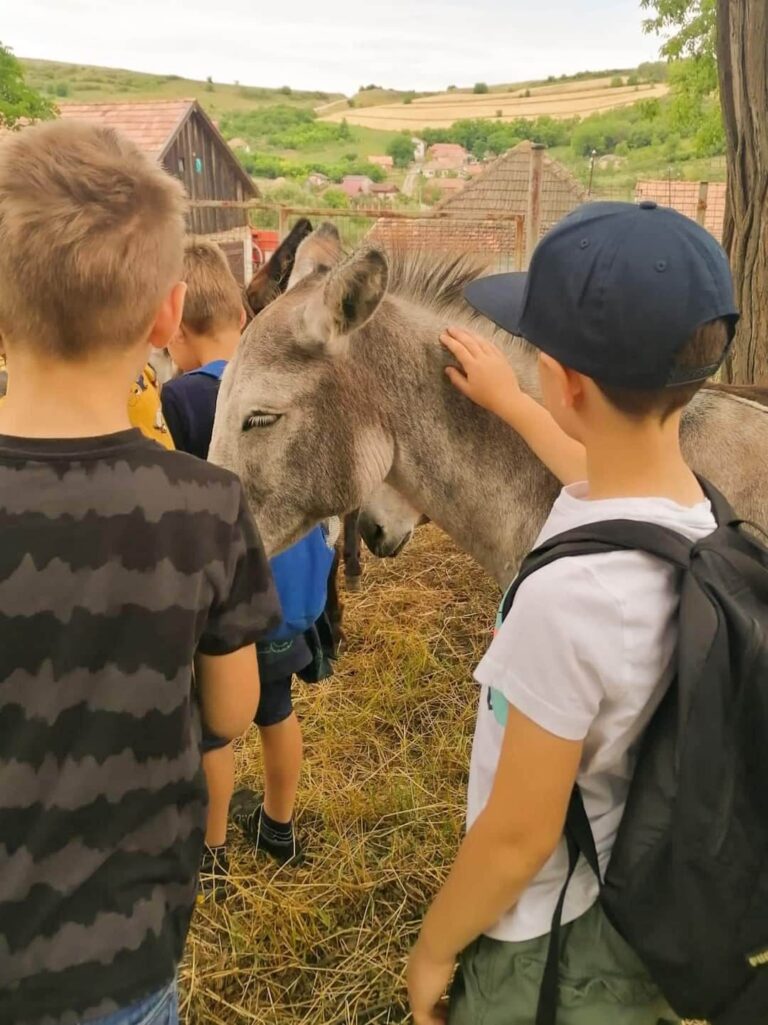 17+ Ferme de vizitat cu copiii - aventură în natură - PlatFerma
