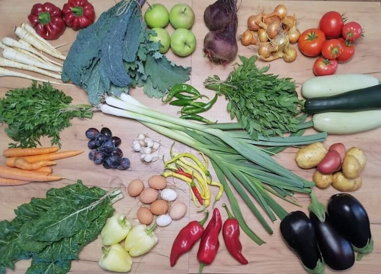 12 + Ferme de Legume lângă București – Produse locale proaspete